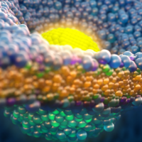 Research | The Shell Lab