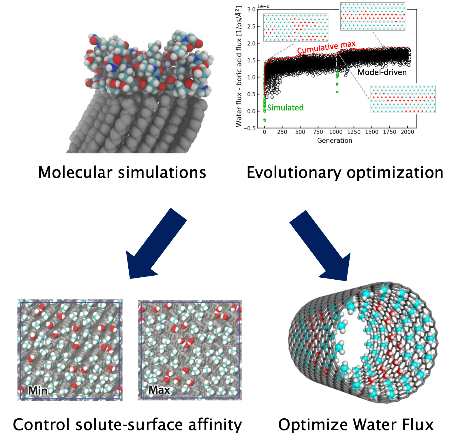 Research | The Shell Lab