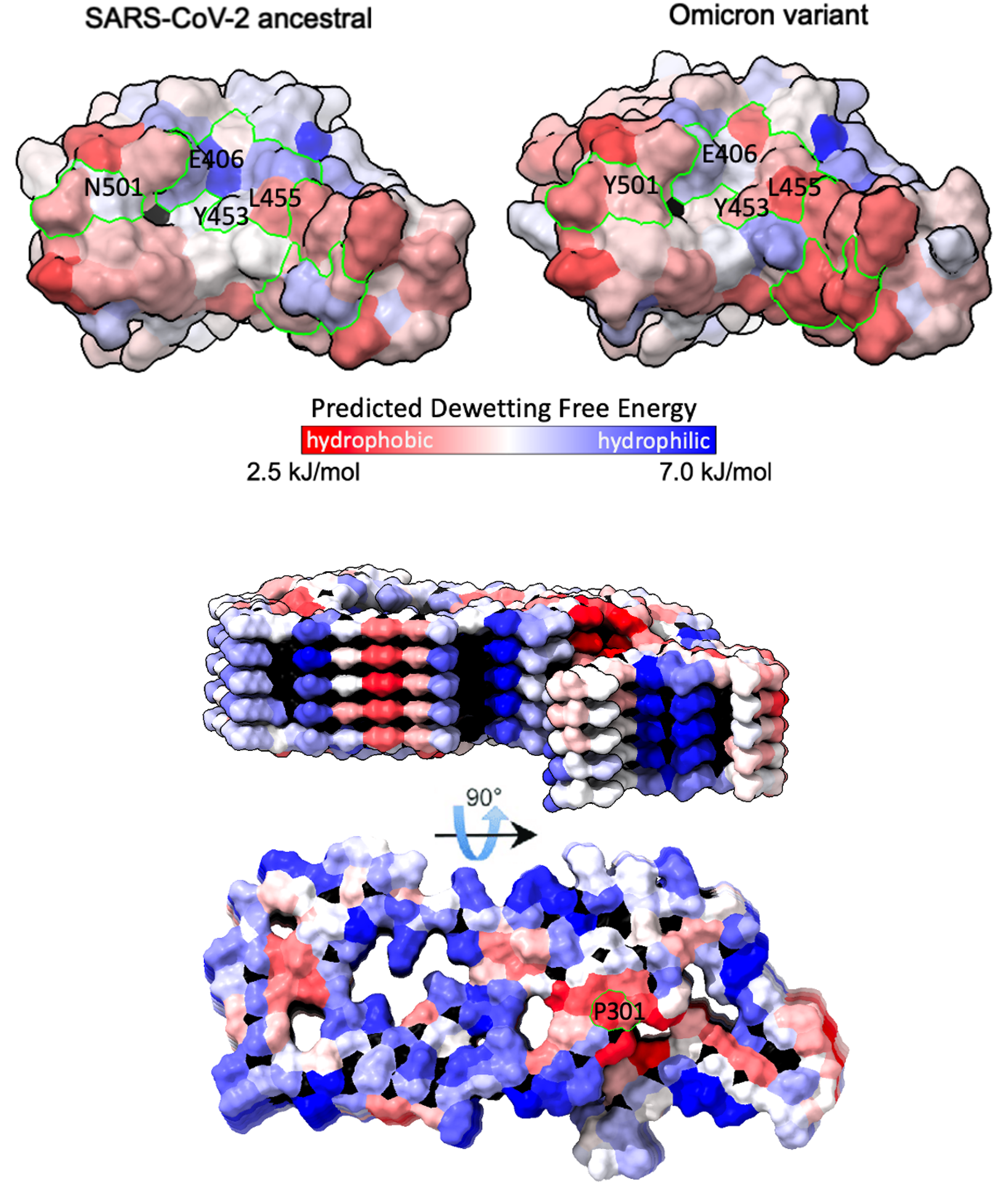 Research | The Shell Lab