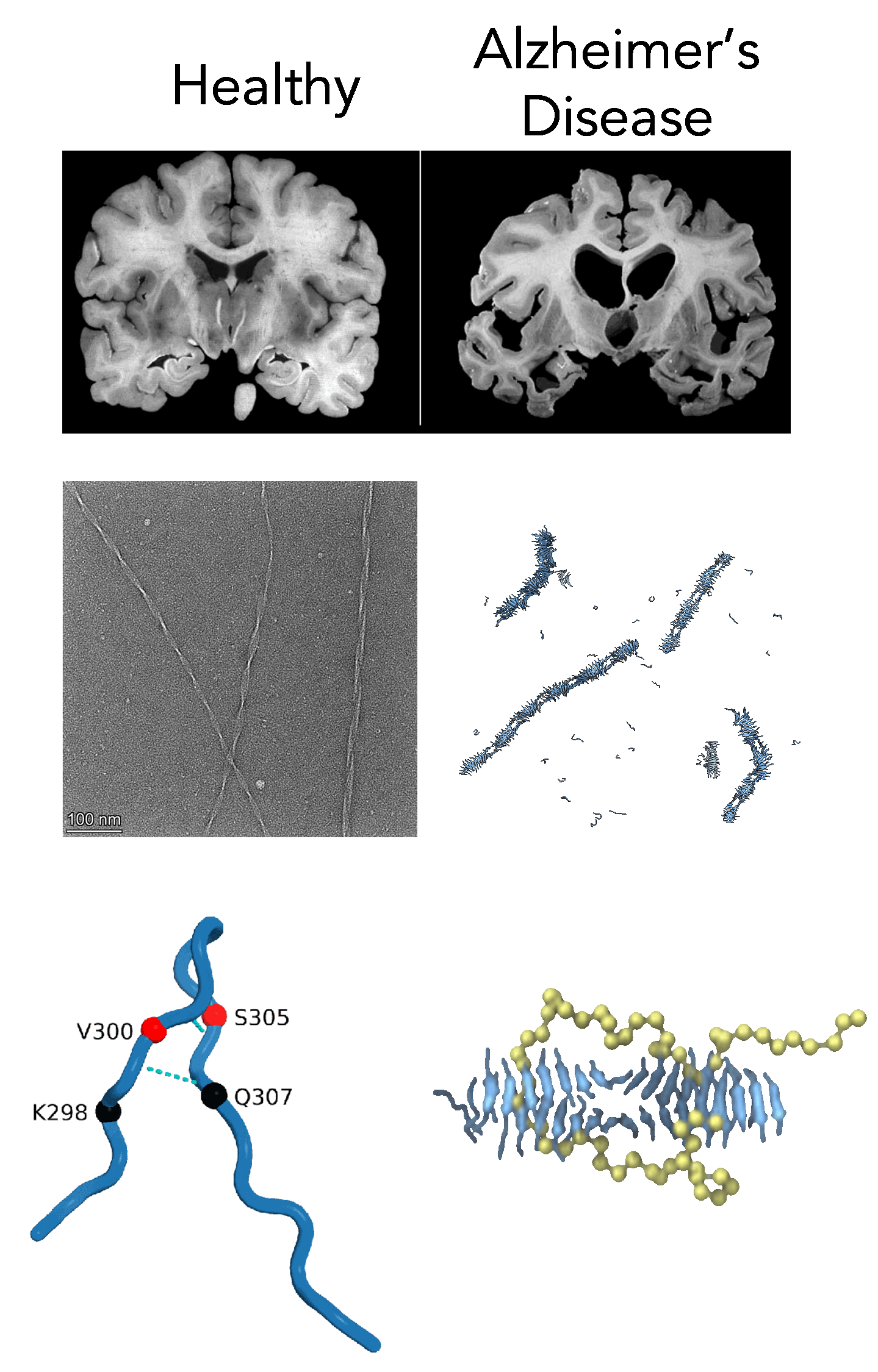 Research | The Shell Lab